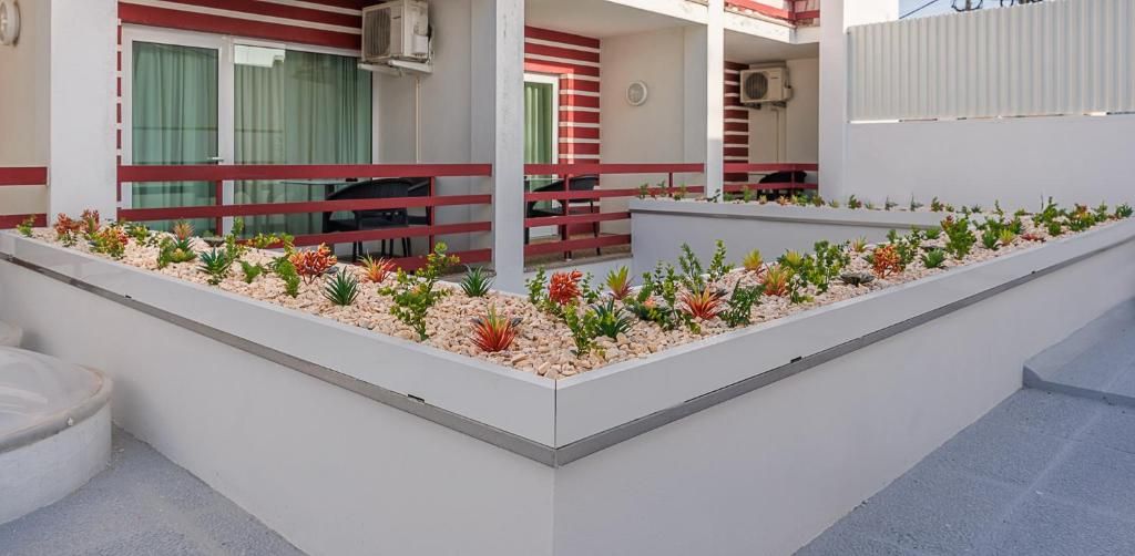 Espaço externo moderno com um canteiro retangular cheio de plantas diversas e uma área de estar com guarda-corpos vermelhos.
