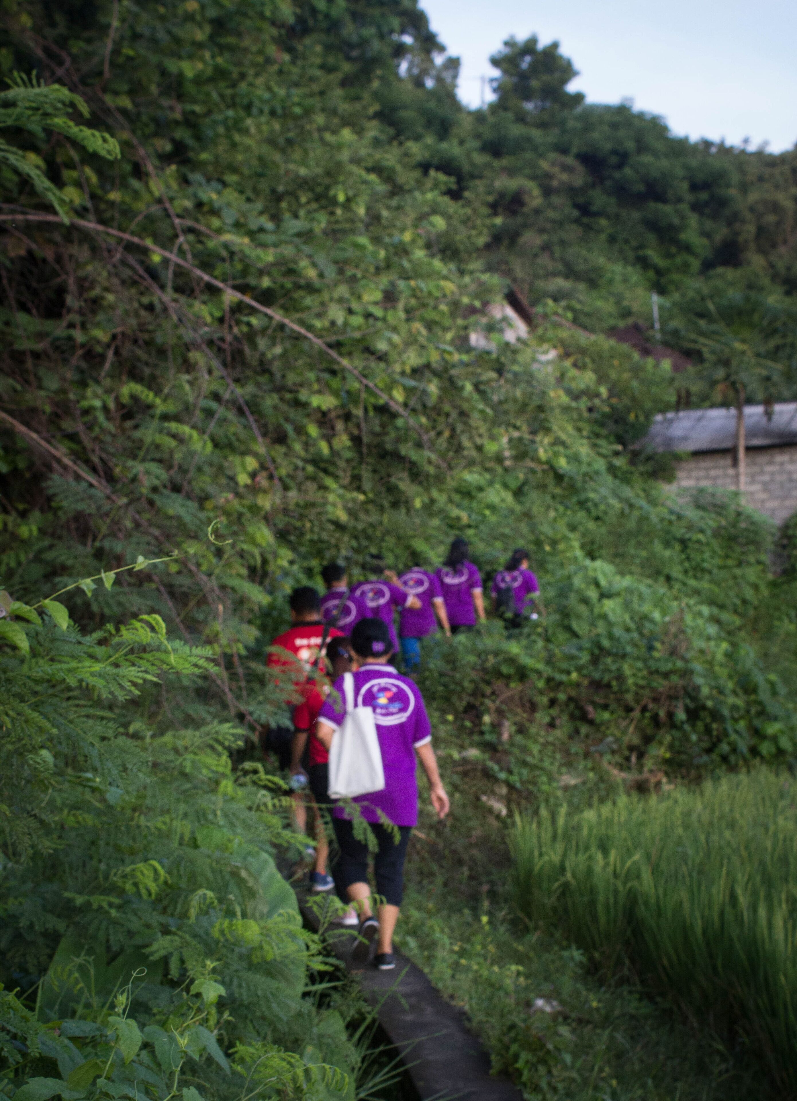 Um grupo de pessoas caminhando por um caminho estreito, cercado por vegetação densa.