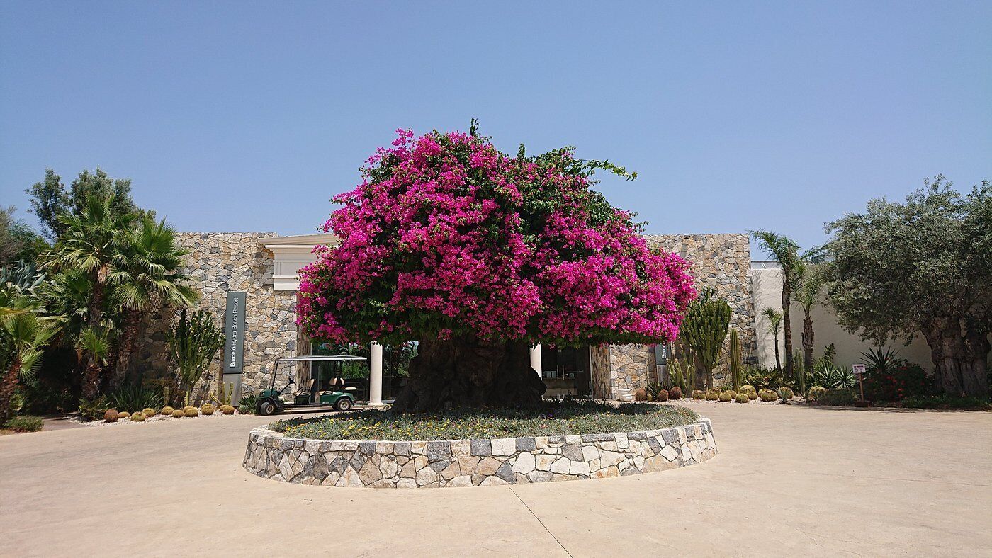 Entrada da propriedade