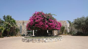 Entrada da propriedade