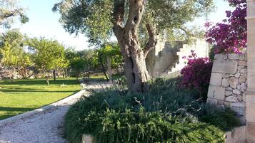 Jardim
