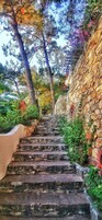 Uma escadaria de pedra com vegetação e flores, subindo.