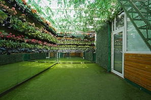 Jardim