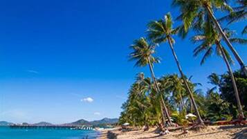 Uma praia com palmeiras e um céu azul límpido.