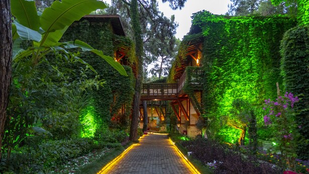 Uma passagem leva a um edifício com uma ponte de madeira, cercado por vegetação exuberante e iluminado por uma luz quente.