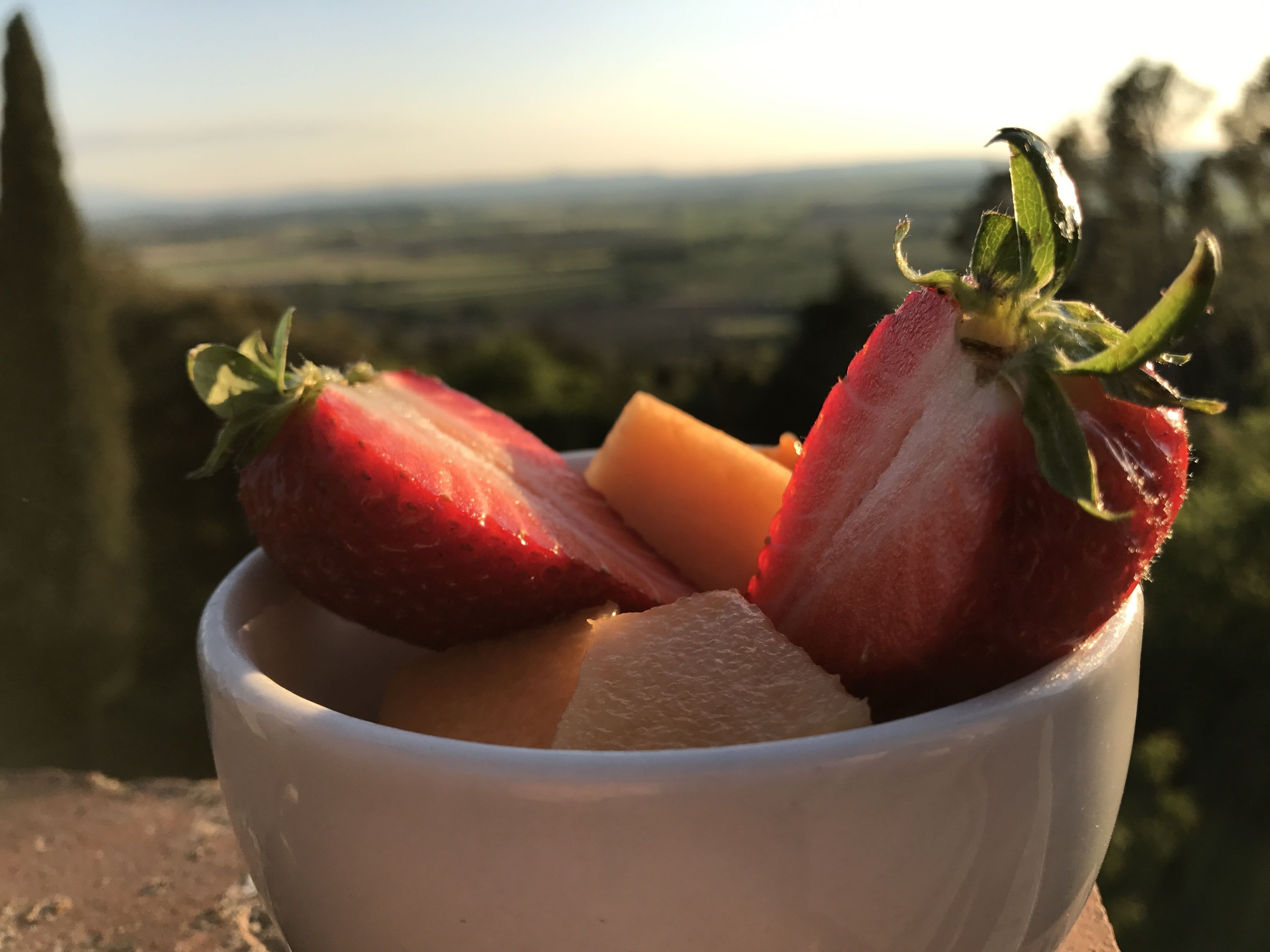 Uma tigela de fruta com morangos e melancia sobre uma mesa, com uma vista panorâmica ao fundo.