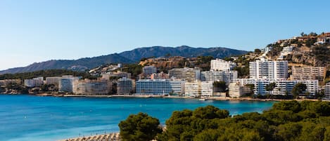 Vista da propriedade