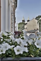 Vista da rua com edifícios, uma igreja com torres e uma exposição de flores.