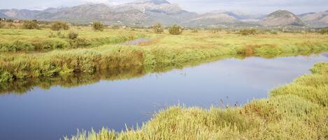 Paisagem serena com um corpo d'água calmo refletindo a vegetação ao redor e montanhas distantes.