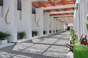 Um corredor com paredes brancas, chão de azulejos e vários vasos de plantas.