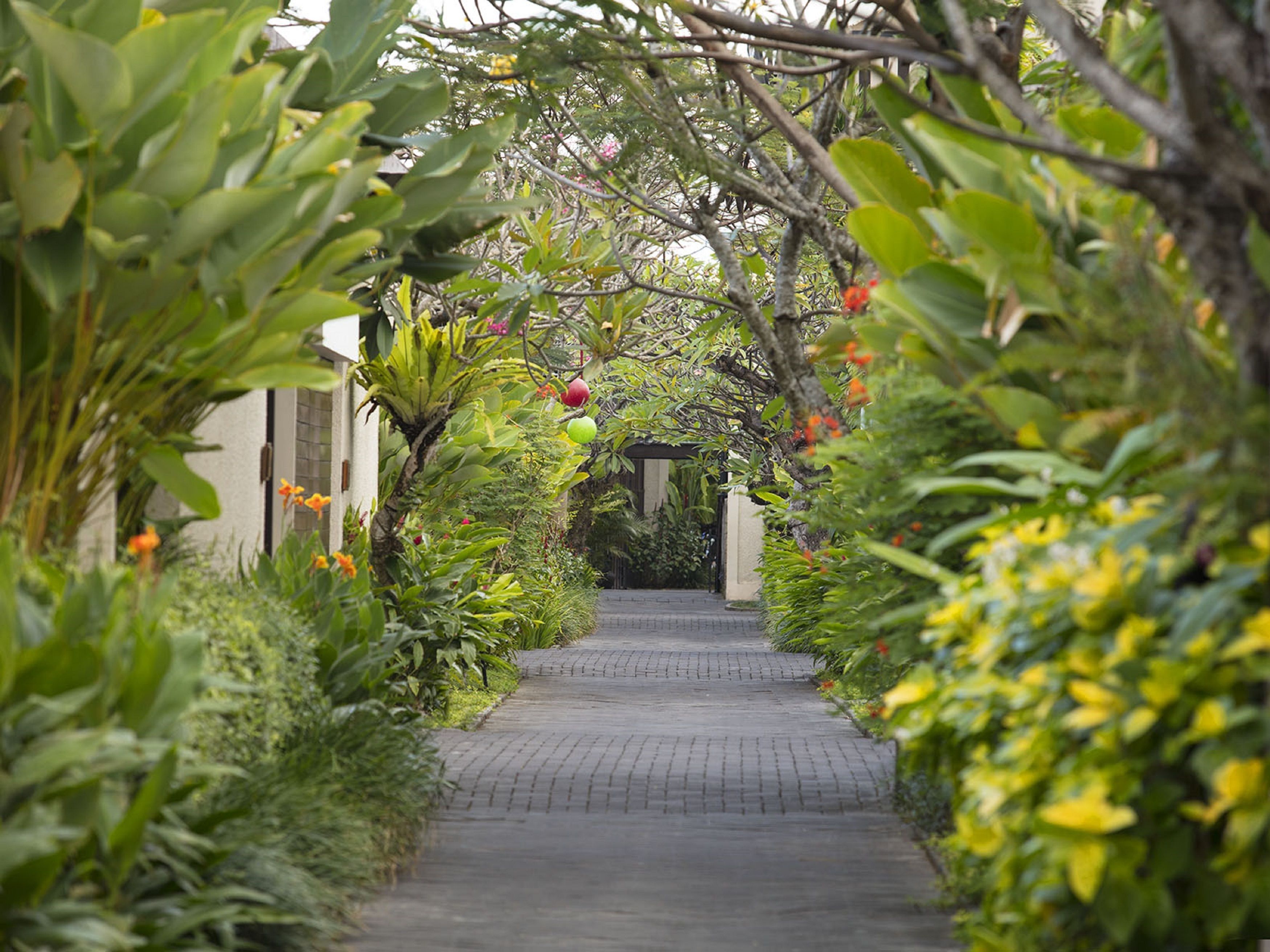 Jardim