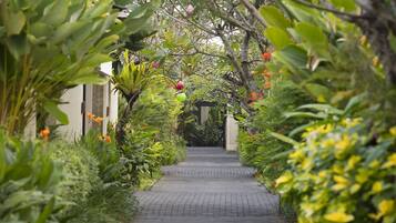 Jardim