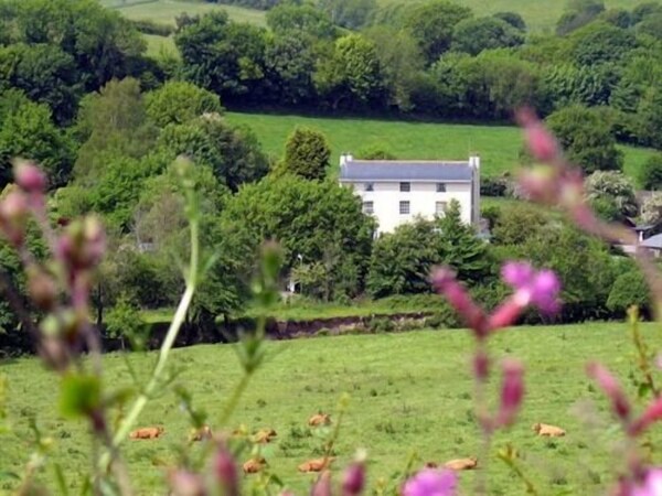 Plantation House Hotel - Devon