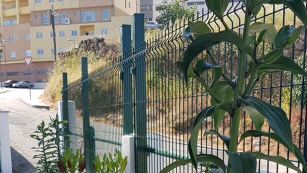 Um jardim com diversas plantas e flores, uma cerca de metal e um edifício ao fundo.