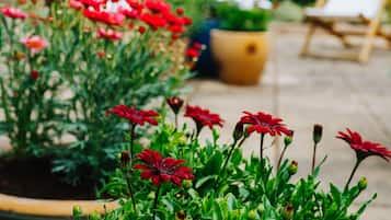 Jardim