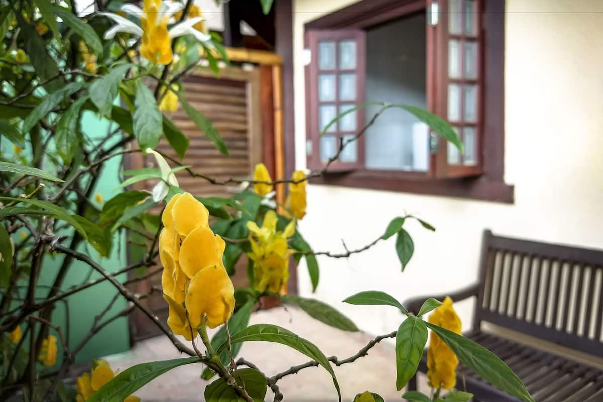 Estúdio | Terraço/pátio interior