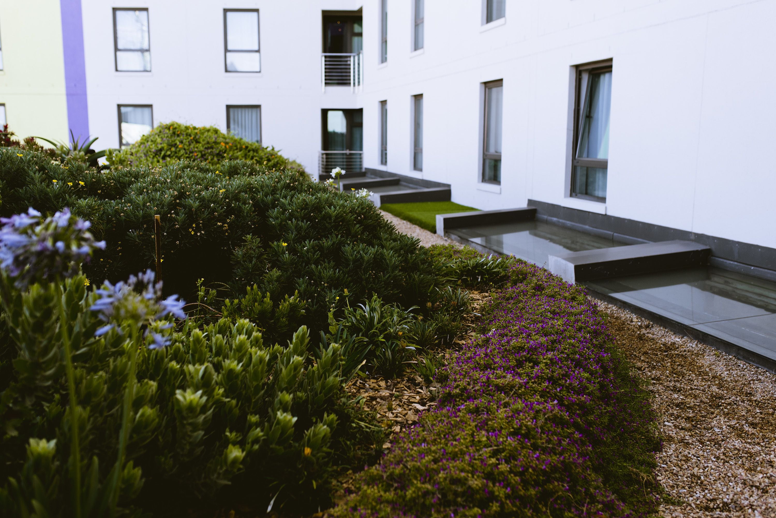 Um edifício moderno com um jardim bem cuidado, incluindo arbustos variados e flores roxas.