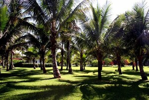 Área da propriedade