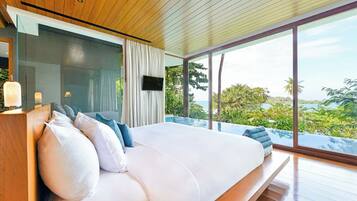 Pool Villa Suite | Minibar, cofre no quarto, secretária, Wi-fi grátis