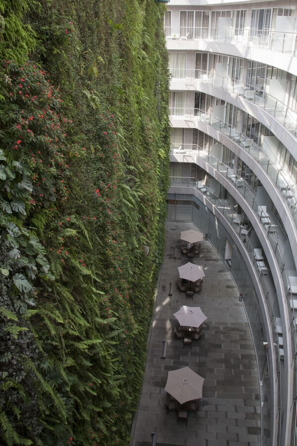 Pennsylvania Suites - Ciudad de México