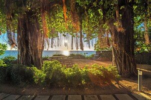 Área para churrasco/piquenique