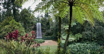 Área da propriedade