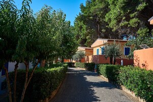 Casa de Campo Familiar | Terrenos do alojamento