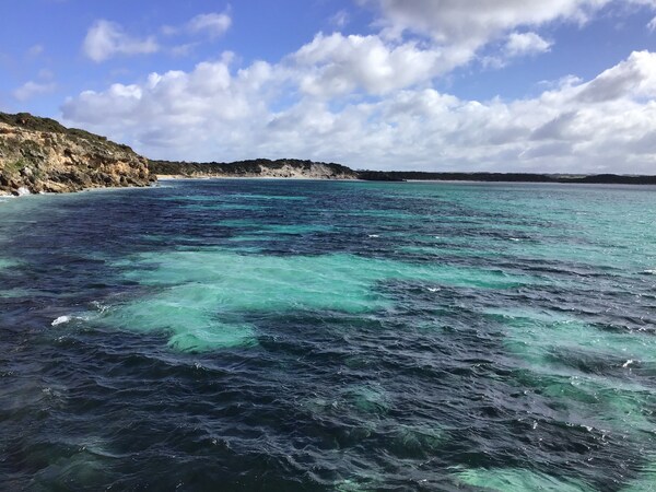 Koopalanda Dreaming - Kangaroo Island
