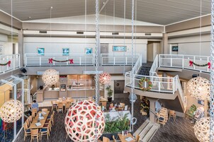 Pequenos-almoços, almoços, jantares servidos, cozinha local 