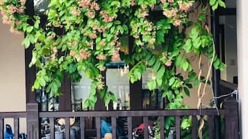 Jardim