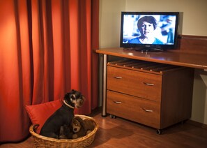 Aceita animais de estimação