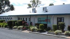 Um motel com teto plano, aparelhos de ar condicionado e uma placa com a inscrição "Pepperroth Motel".
