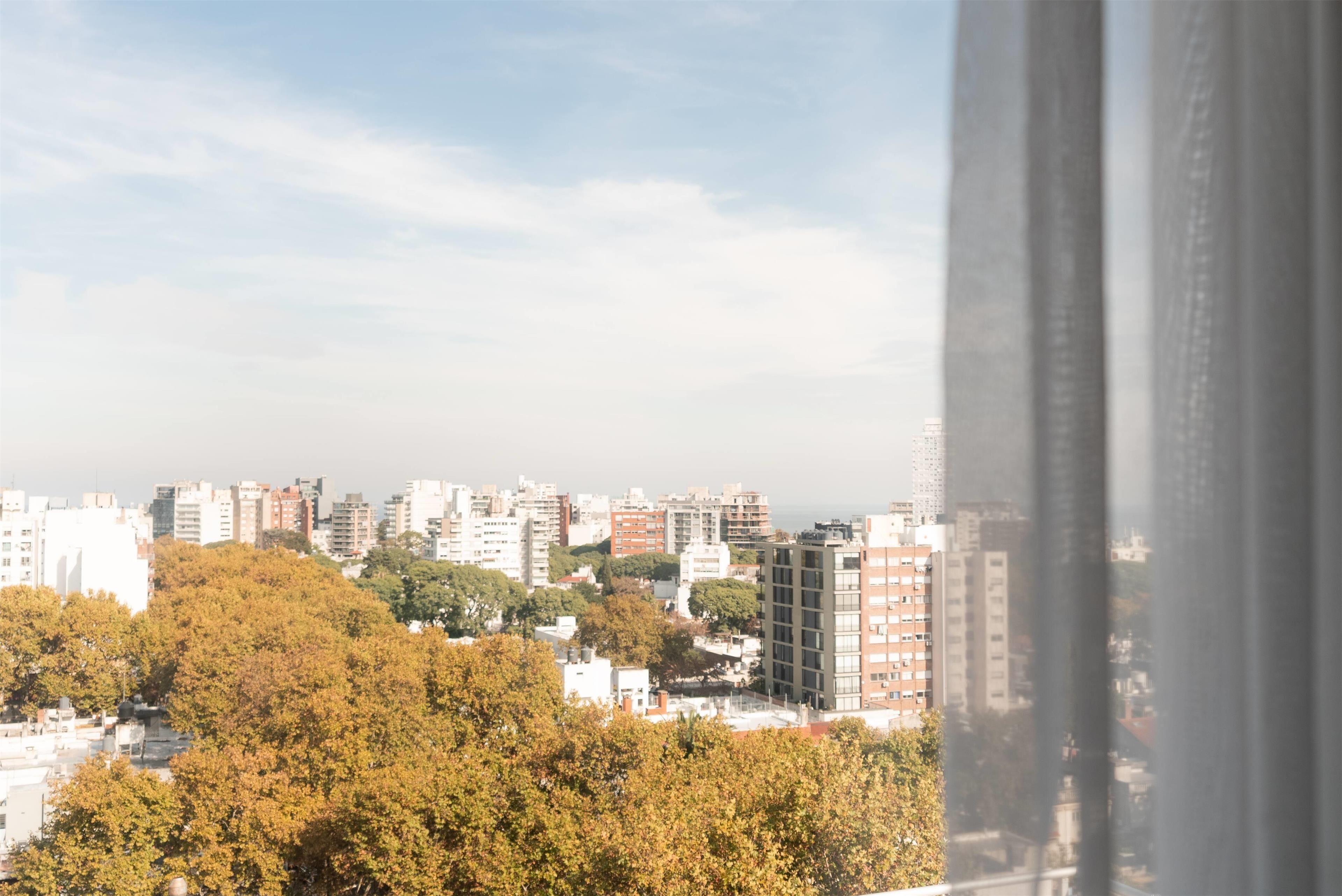 Vista urbana com edifícios e árvores, vista através de uma janela com cortinas.