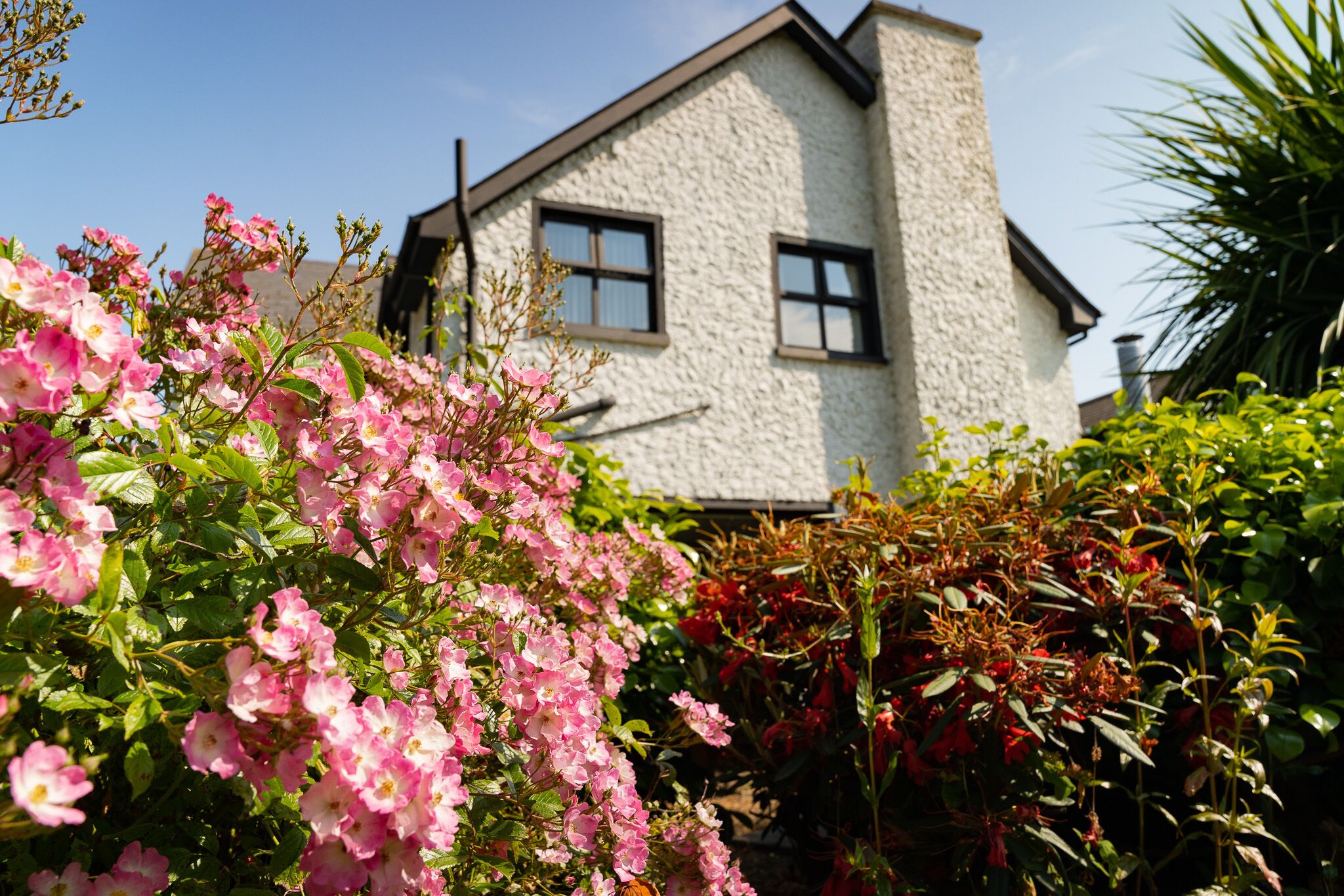 Uma casa com fachada de pedra, duas janelas e um jardim com flores cor-de-rosa.