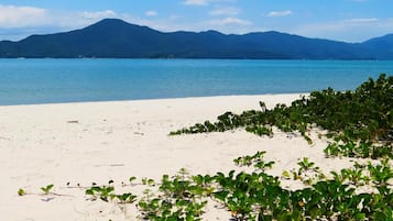 Perto da praia, areia branca, espreguiçadeiras, guarda-sóis
