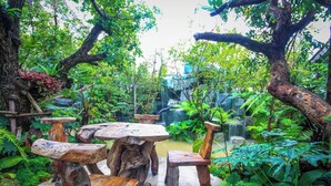 Uma área de estar ao ar livre rústica, com mesas e cadeiras de madeira, rodeada por vegetação exuberante e uma pequena cascata.