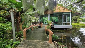 Uma ponte de madeira leva a um edifício com teto de vidro, cercado por vegetação exuberante e um corpo d'água.