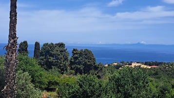 Paisagem costeira com vegetação densa e vista clara do mar.