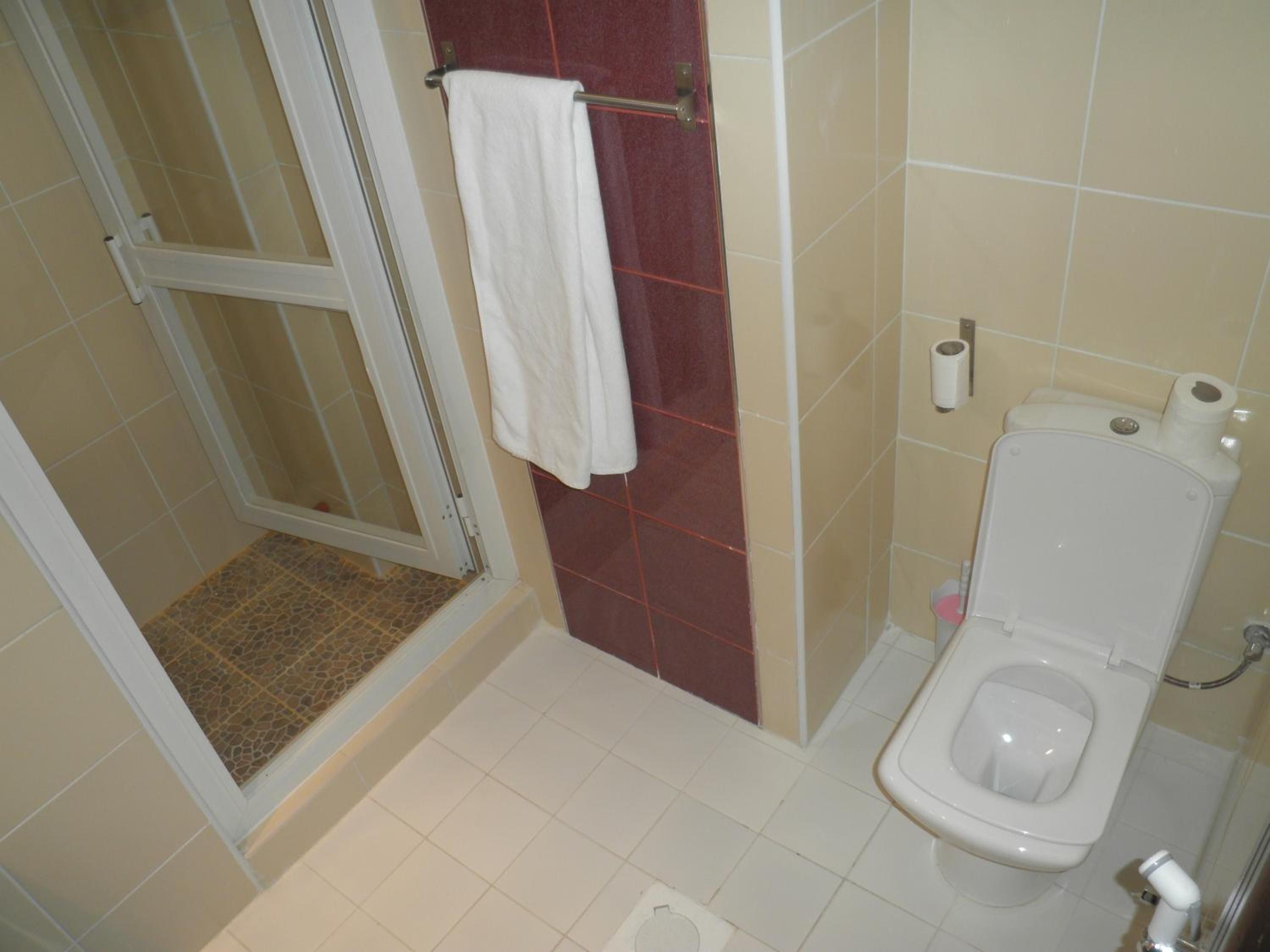 Casa de banho com chuveiro, sanita e um porta-toalhas.