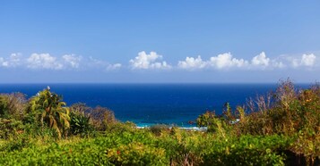 Vista da propriedade
