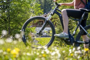 Ciclismo