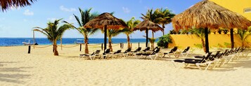 Uma praia com fileiras de espreguiçadeiras e guarda-sóis de palha, um barco atracado na areia e palmeiras.