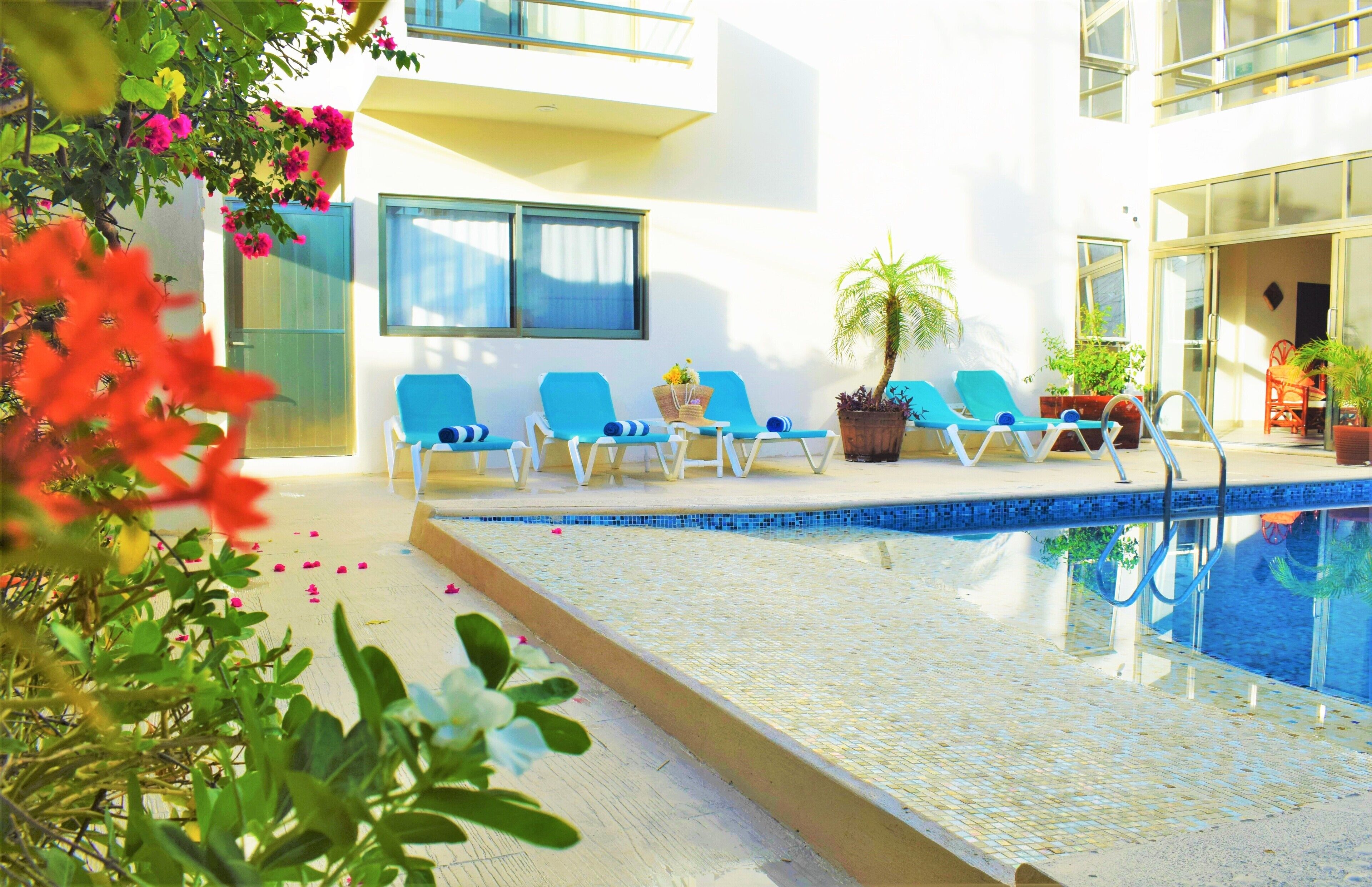Uma área de piscina com espreguiçadeiras, uma mesinha e plantas em vasos.