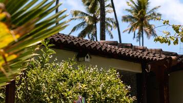 Jardim