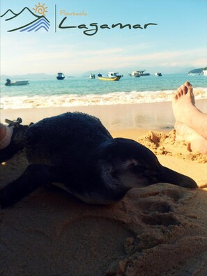 Praia