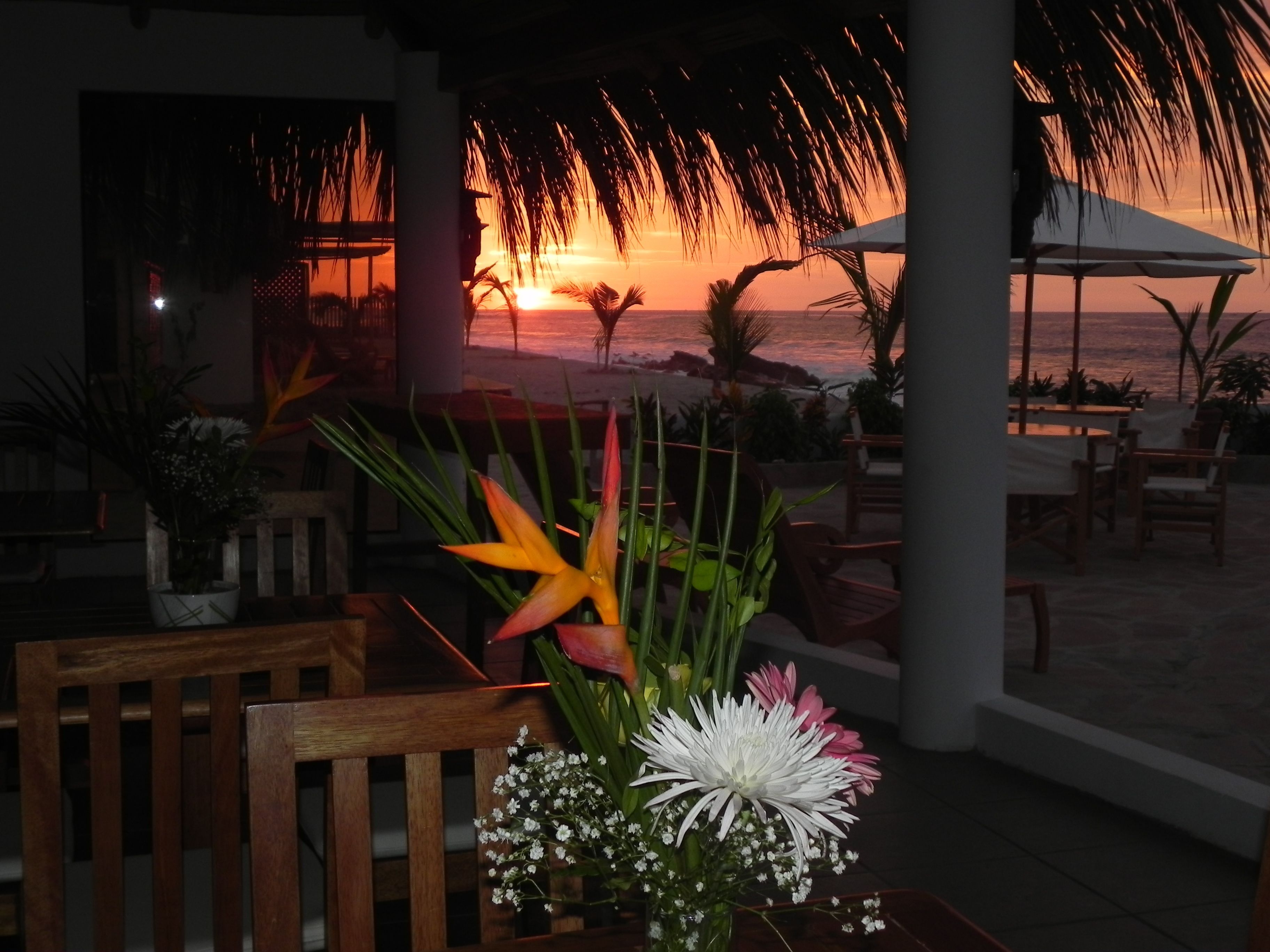 Um restaurante com vista para o pôr do sol sobre o oceano, com área de estar ao ar livre e plantas tropicais.