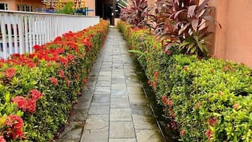 Jardim