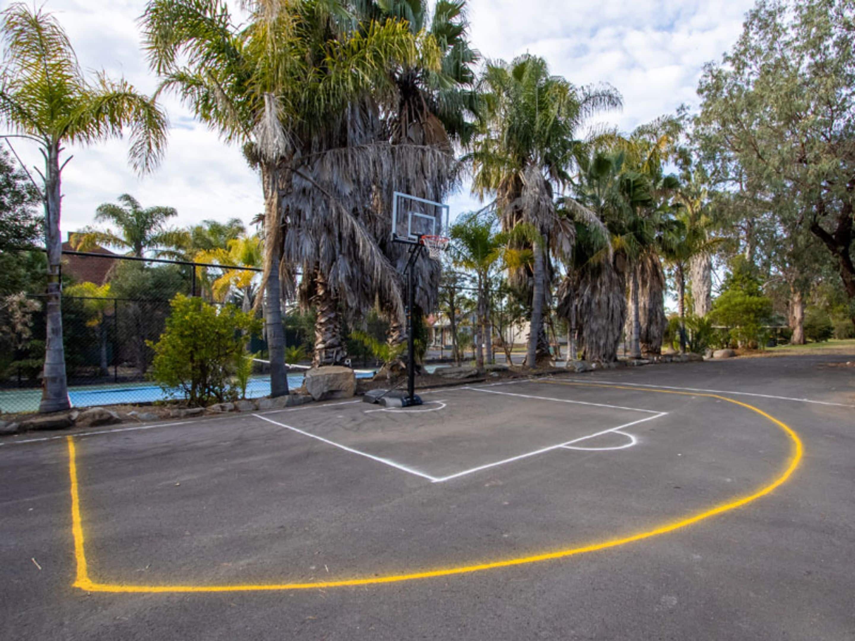 Quadra de basquete ao ar livre com cesta, cercada por palmeiras e um muro.