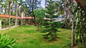 Um jardim exuberante com um gazebo, palmeiras e uma grande árvore no centro.