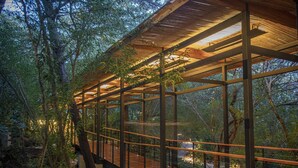 Uma ponte de madeira com grades de vidro, rodeada por uma floresta densa.